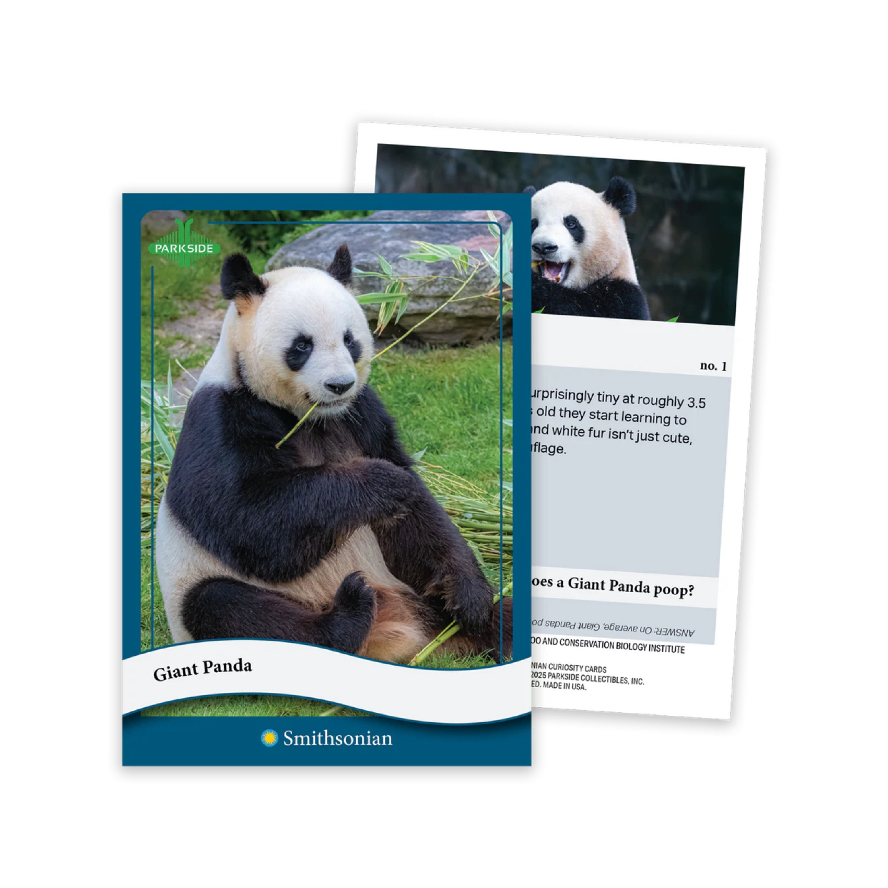 Animal Kingdom Parkside Smithsonian Curiosity Cards 50Ct. Box Set - 1s ...